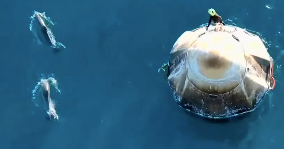Watch Dolphins Surround Astronaut Capsule After Splashdown