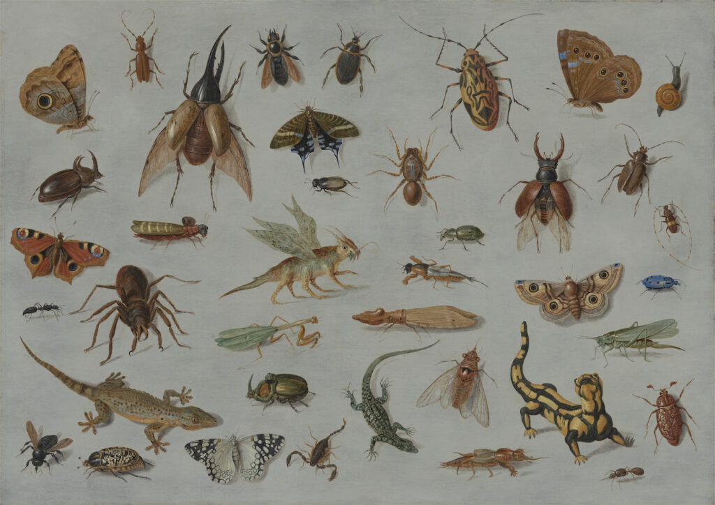 New ‘Little Beasts’ Exhibition Explores the Intersections of Natural ...