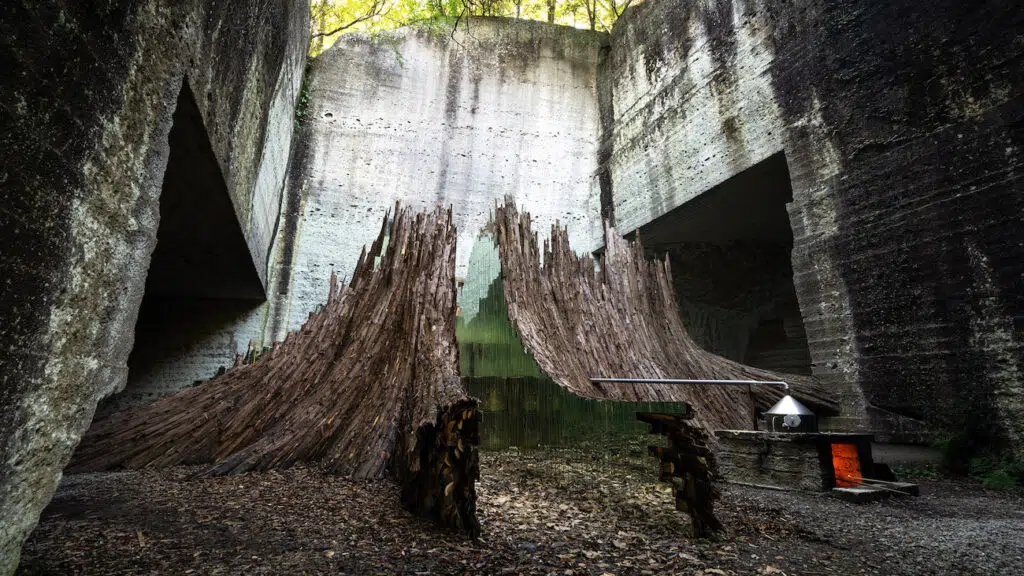 Hidden Inside This Tree Stump Is a Tranquil, Glass-Lined Sauna