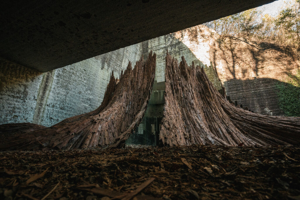 Tree Stump Lined With Mirrors Hides a Decadent Sauna Inside of It | My ...