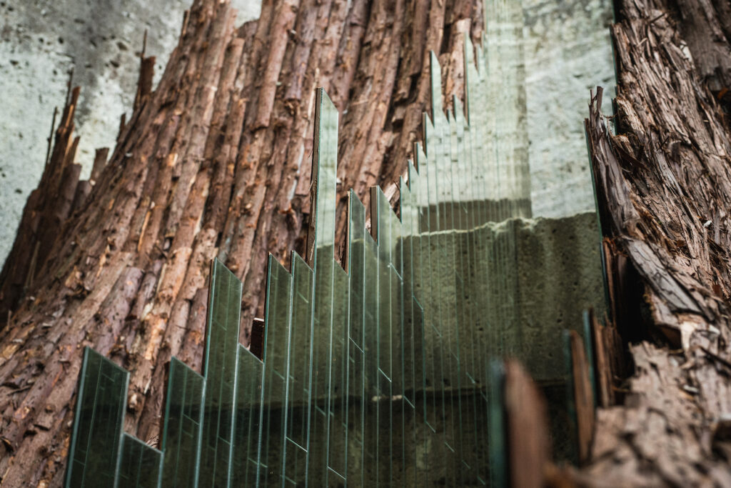 Hidden Inside This Tree Stump Is a Tranquil, Glass-Lined Sauna