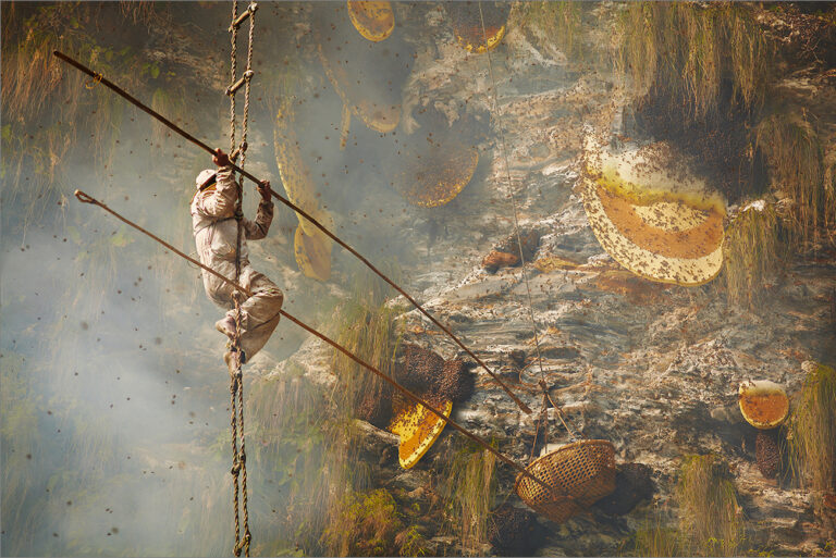 Stunning Prints of Nepalese Honey Hunters Support WWF
