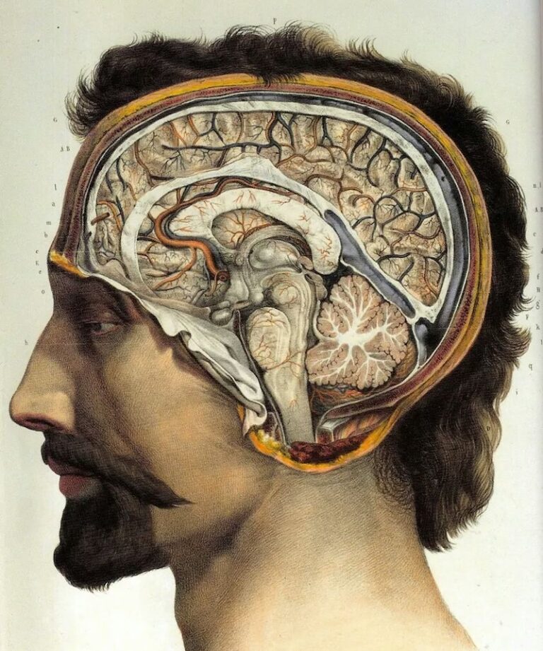 Your Brain on Books: Scientists Reveal What Happens in Our Heads When ...