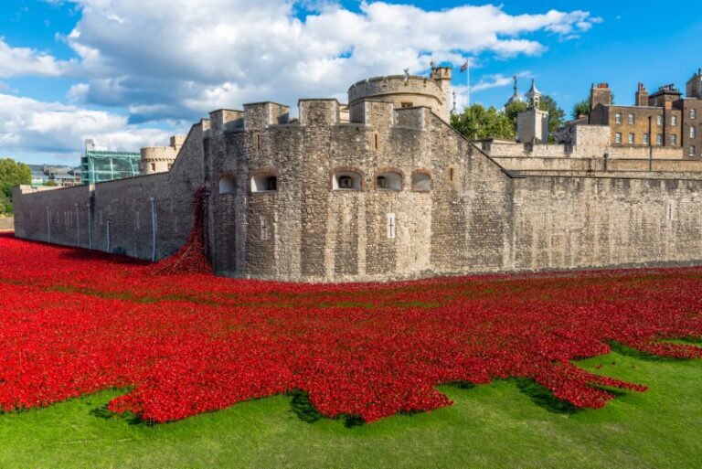 30,000 Red Poppies Flow Across the Tower of London's Lawn