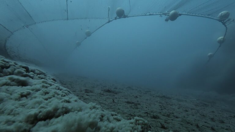 Filmmakers Capture the Destruction of Bottom Trawling for the First Time
