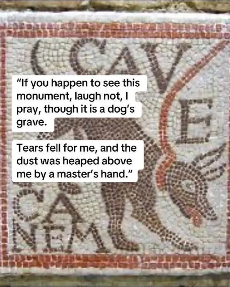Ancient Roman Epitaphs Show That Family Dogs Were Deeply Loved Even ...