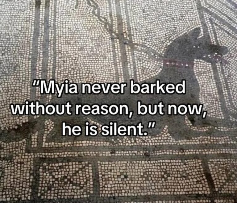 Ancient Roman Epitaphs Show How Much They Loved Their Dogs
