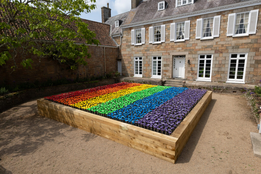 Meadow of Glow-in-the-Dark Flowers Support Wildlife Conservation