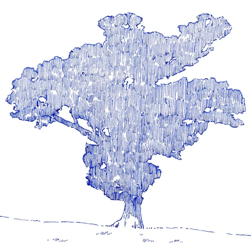 Serenity in Nature Captured Through Hatched Fountain Pen Drawings in ...