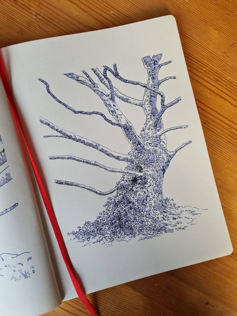Serenity in Nature Captured Through Hatched Fountain Pen Drawings in ...