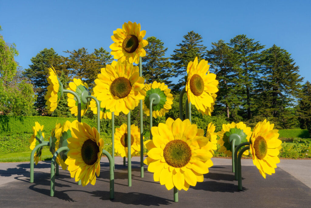 Van Gogh’s Flowers Come to Life at New York Botanical Garden