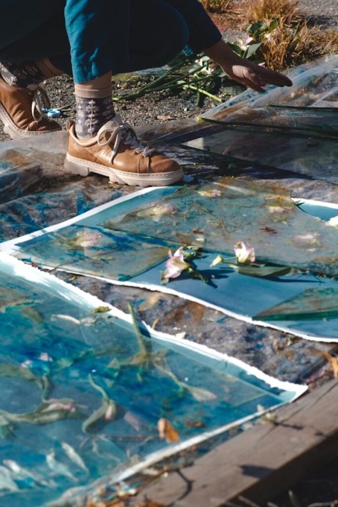 How One Artist Creates Dreamy Cyanotypes Full of Colorado Greenery ...