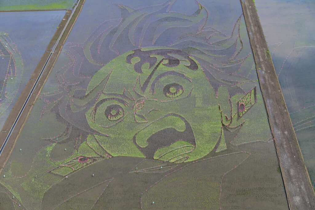 Japanese Town Creates 'Demon Slayer'-Themed Rice Paddy Art