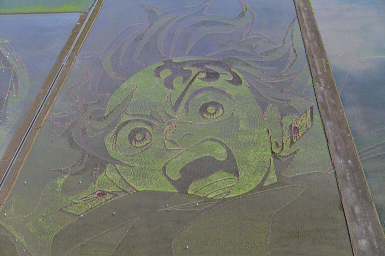 Japanese Town Creates 'Demon Slayer'-Themed Rice Paddy Art