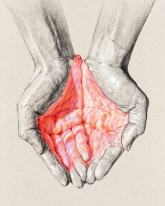 Colored Pencil Drawings Reveal the Elegance of the Human Body