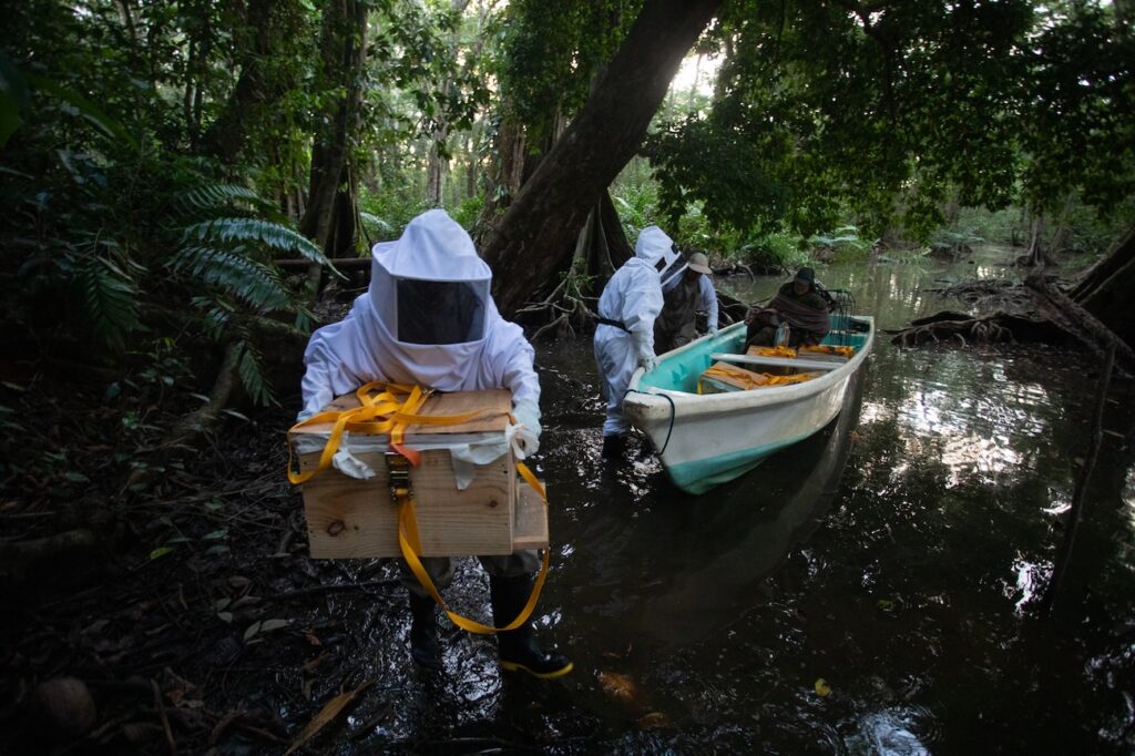Mangrove Photography Awards 2025 Reveals Winning Images Celebrating the ...