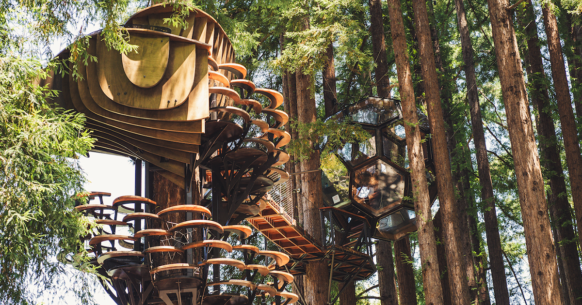 This Incredible Treehouse Looks Just Like Giant Fruiting Fungi