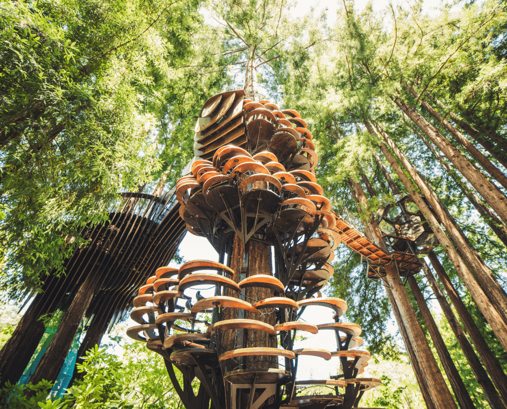 This Incredible Treehouse Looks Just Like Giant Fruiting Fungi
