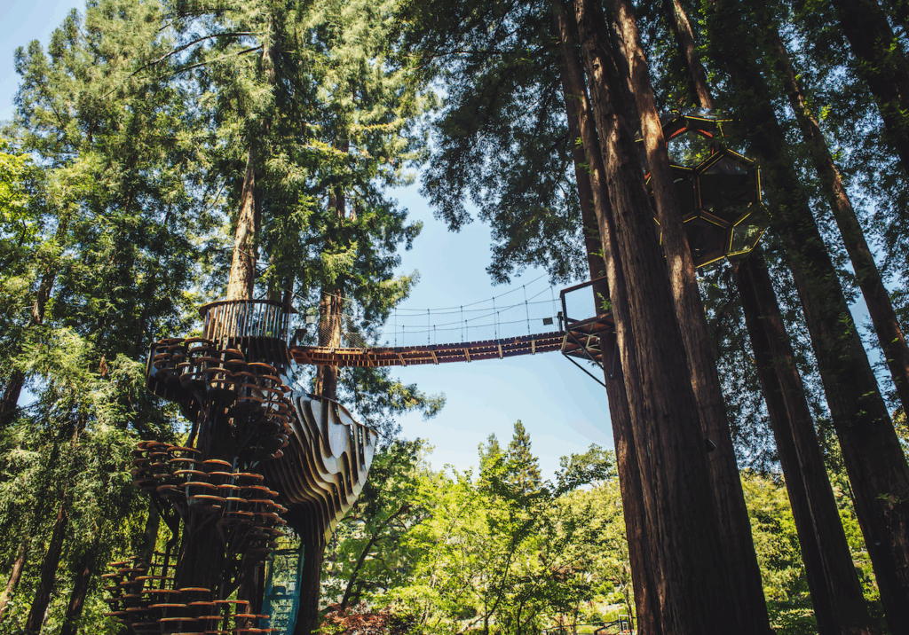 Monumental Treehouse Turns a Tree Into “Fruiting Fungi” Sprouting From ...
