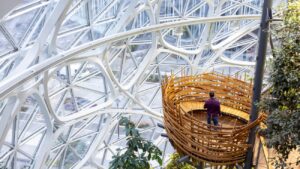 Amazon Spheres Uses Biophilic Design To Reconnect With Nature