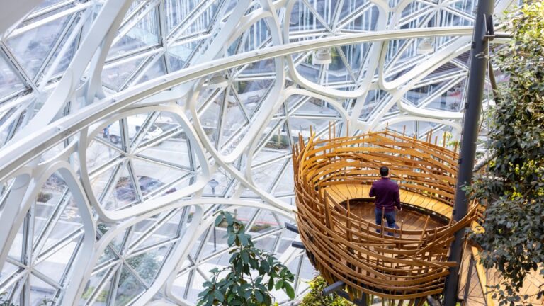 Amazon Spheres Uses Biophilic Design To Reconnect With Nature
