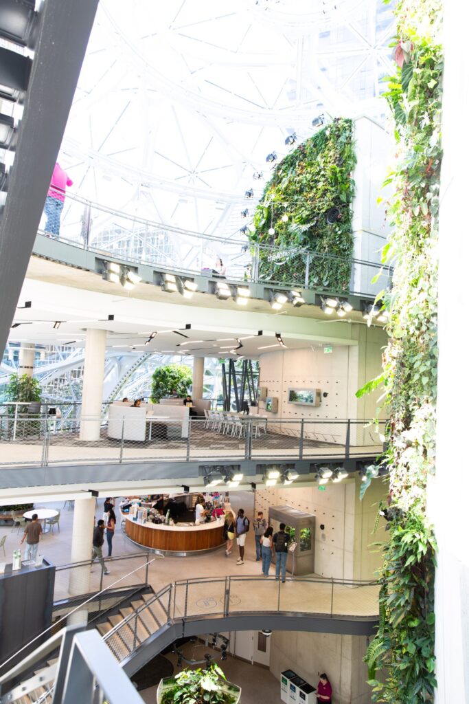 Amazon Spheres House an Enormous Indoor Garden Reconnecting City ...
