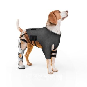 Innovative New Technology Can Help Disabled Dogs to Walk Again