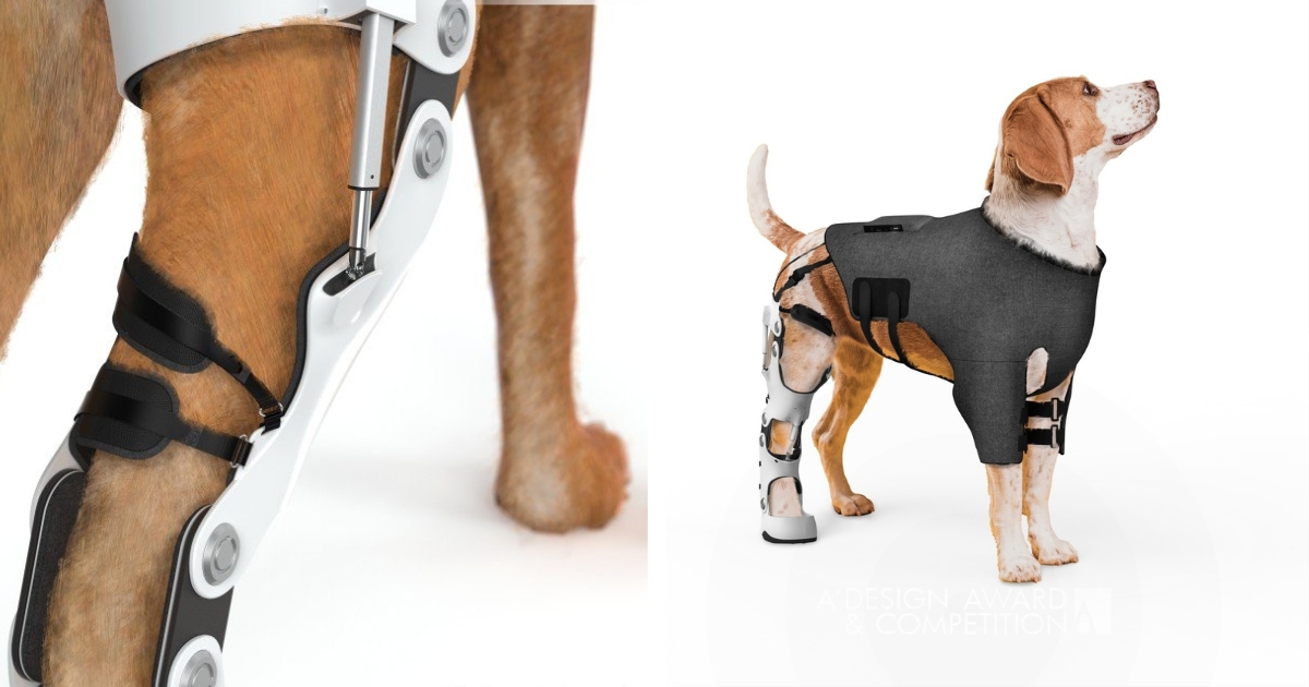 Innovative New Technology Can Help Disabled Dogs to Walk Again
