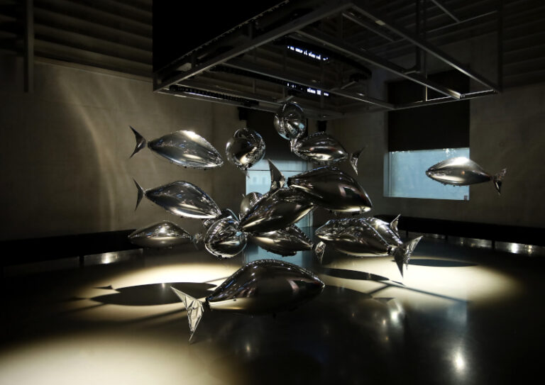 Shimmering Flying Fish Swarm Visitors in Immersive Robotics ...