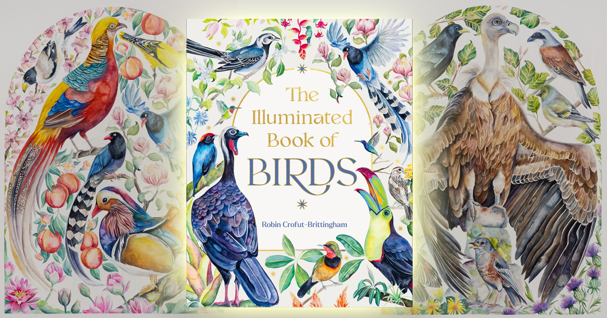 Illustrated Book Celebrates the Vibrant Beauty of Birds
