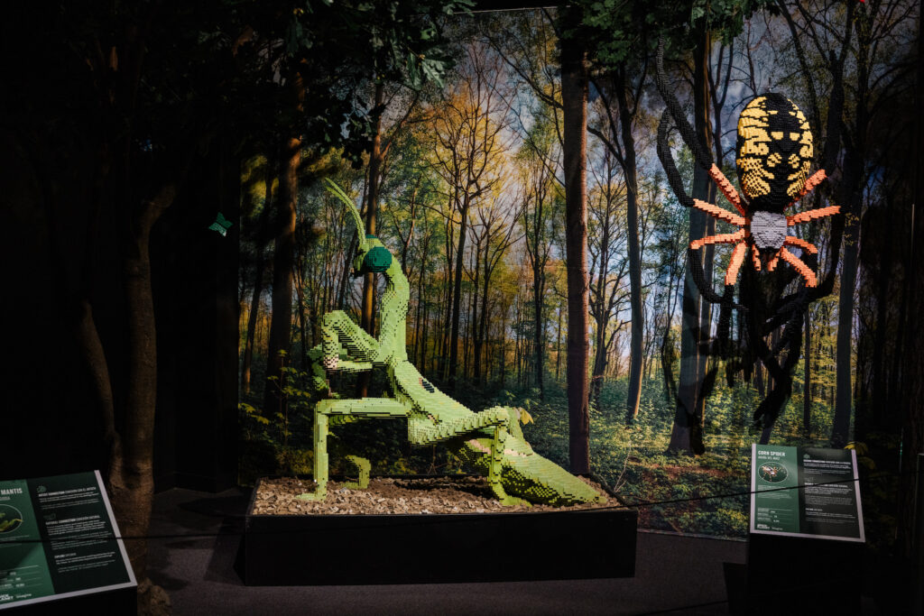 In New Show, Kids Are Invited to Explore Nature Through LEGOs