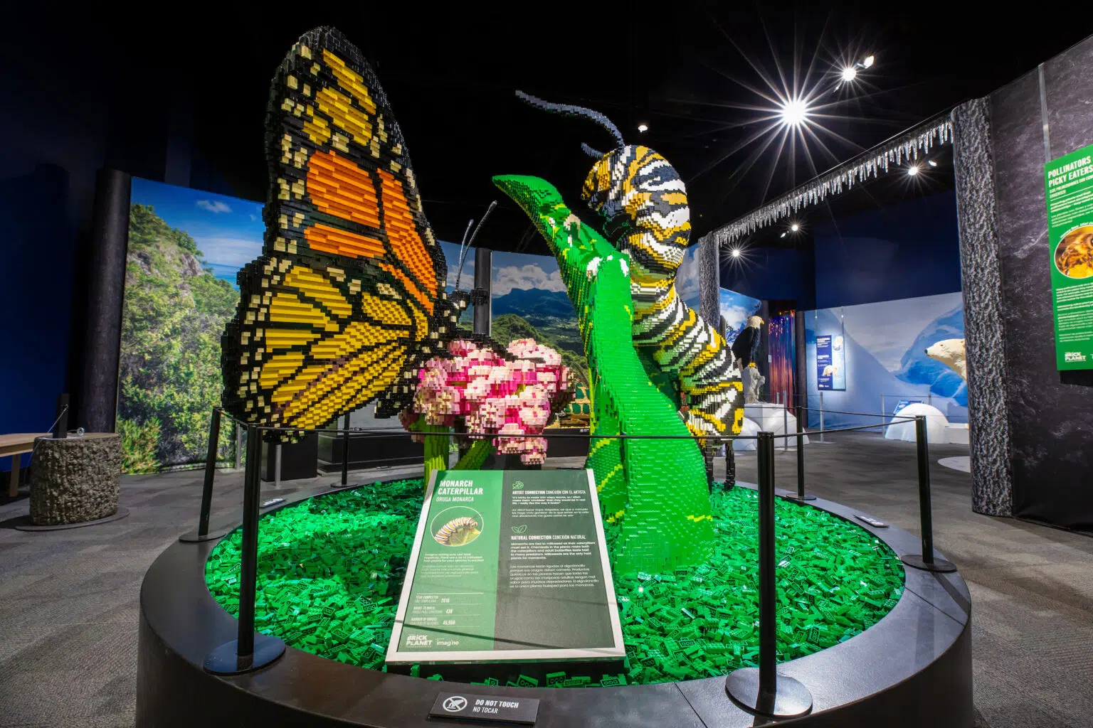 In New Show, Kids Are Invited to Explore Nature Through LEGOs