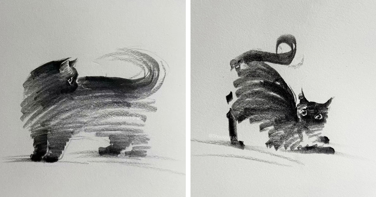 Gestural Cat Drawings Perfectly Capture Felines in Motion