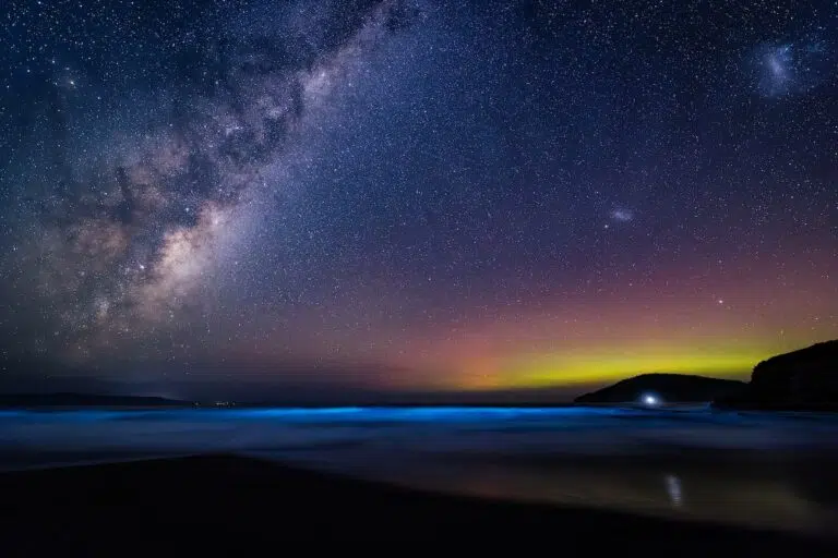 16 Finalists in Beaker Street Science Photography Prize 2026